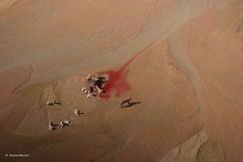 嘗試不同角度-鳥瞰、空拍的宿命感 | PHOTO PLANET 影像星球